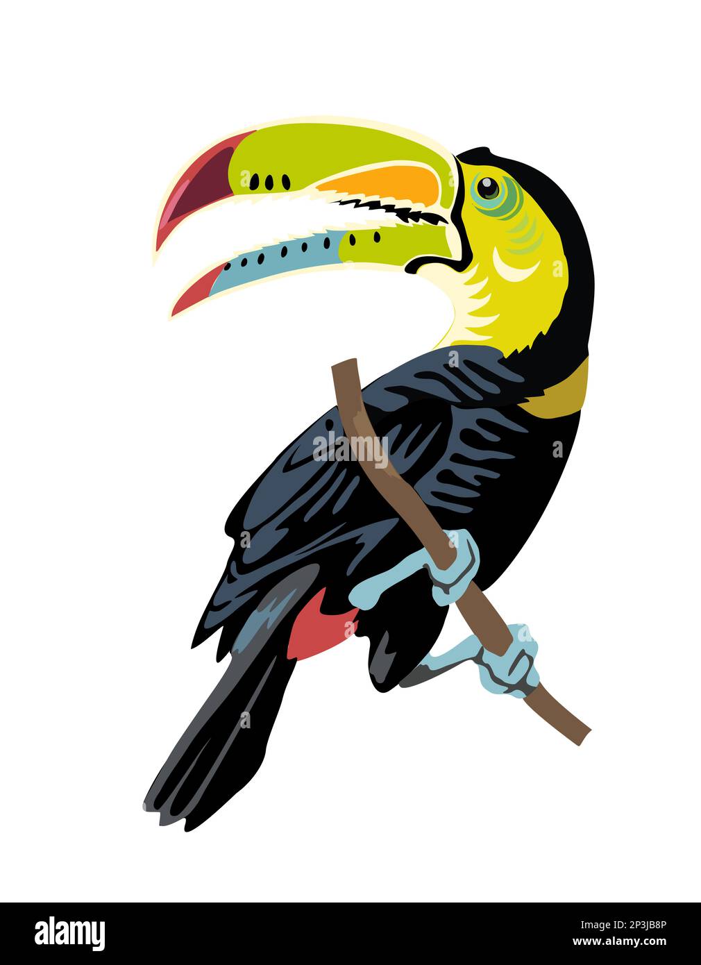 Toucan cartoon vector realistic isolated on white Stock Vector Image ...