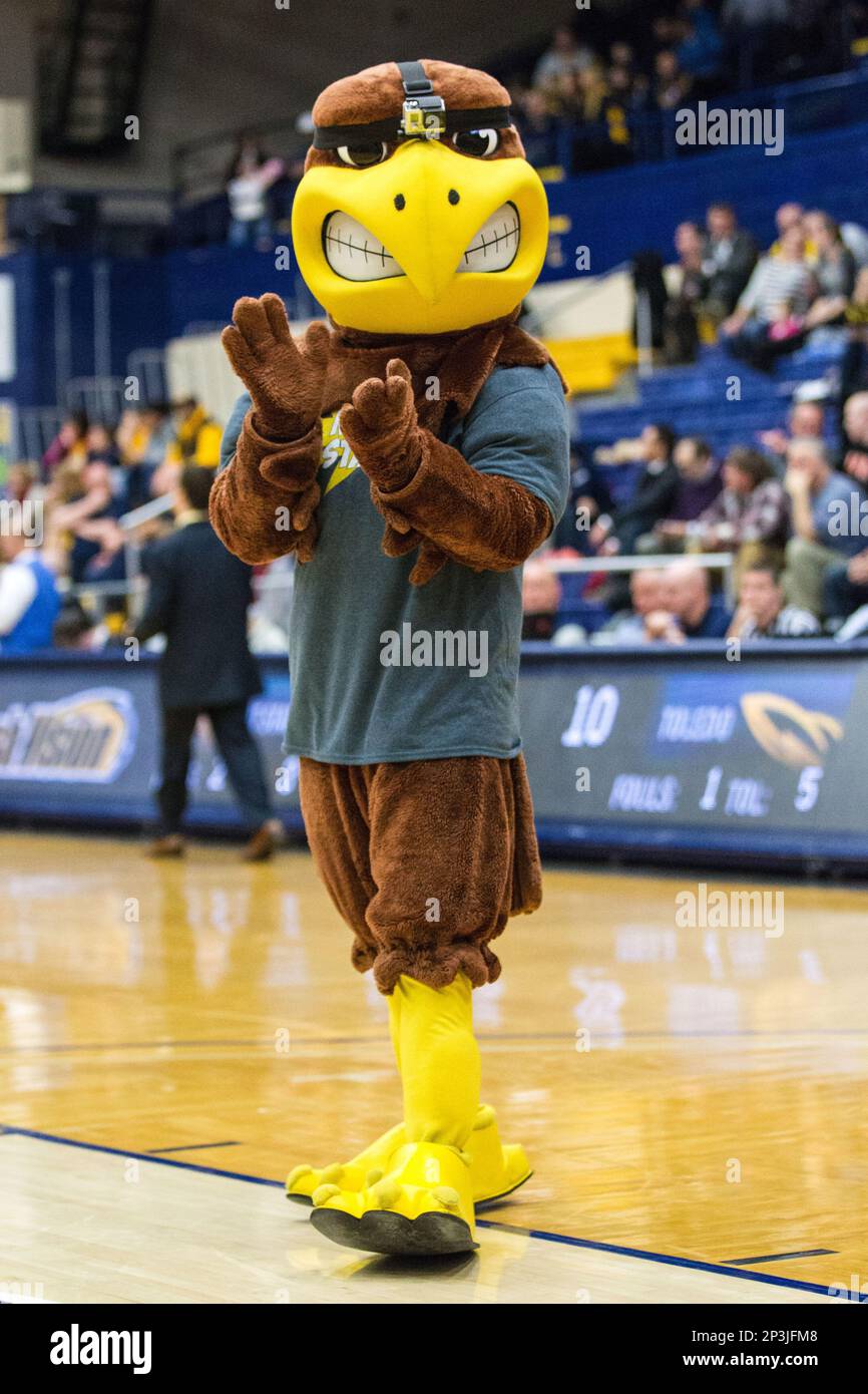 21 January 2015: The Kent State Golden Flashes mascot during the game ...