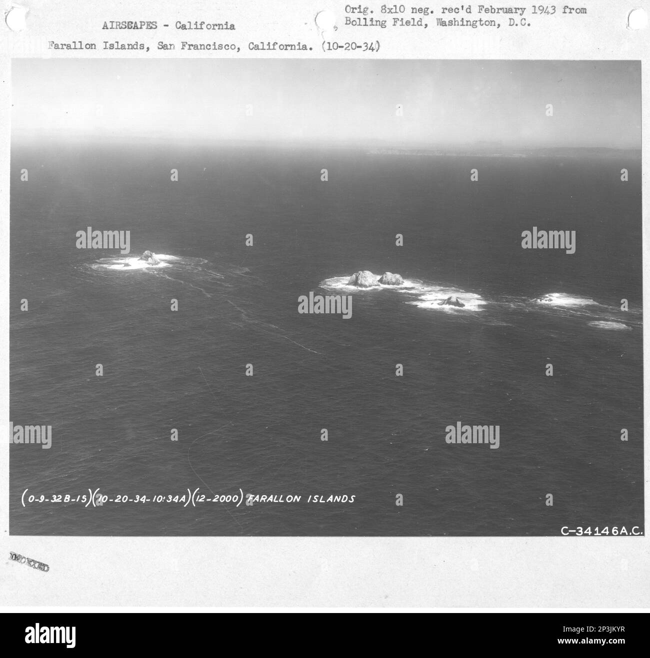 Farallon island birds hi-res stock photography and images - Alamy