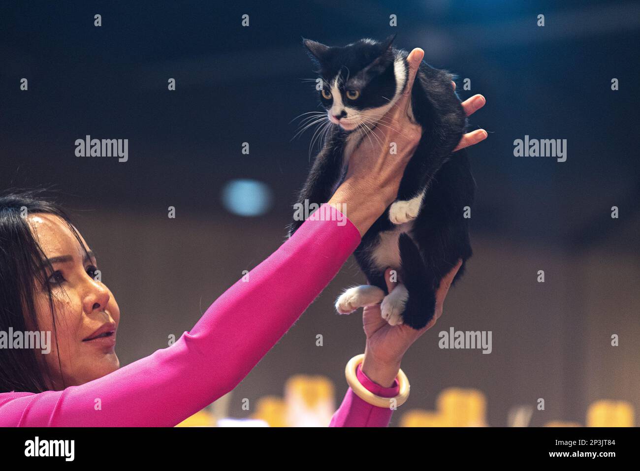 Bangkok, Thailand. 05th Mar, 2023. A judge shows off one of the "Cat ...
