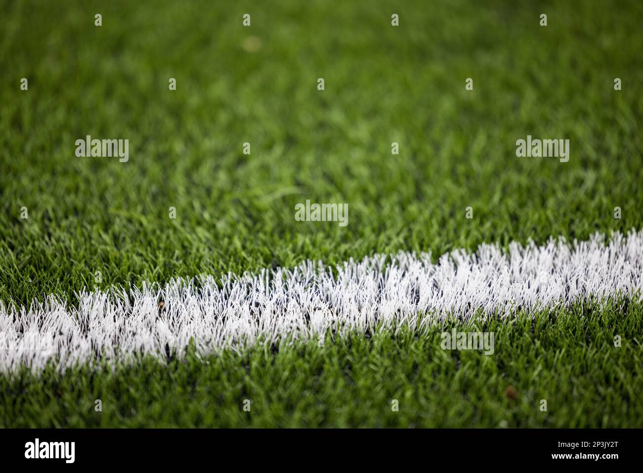 Astroturf / synthetic grass with boundary line Stock Photo - Alamy
