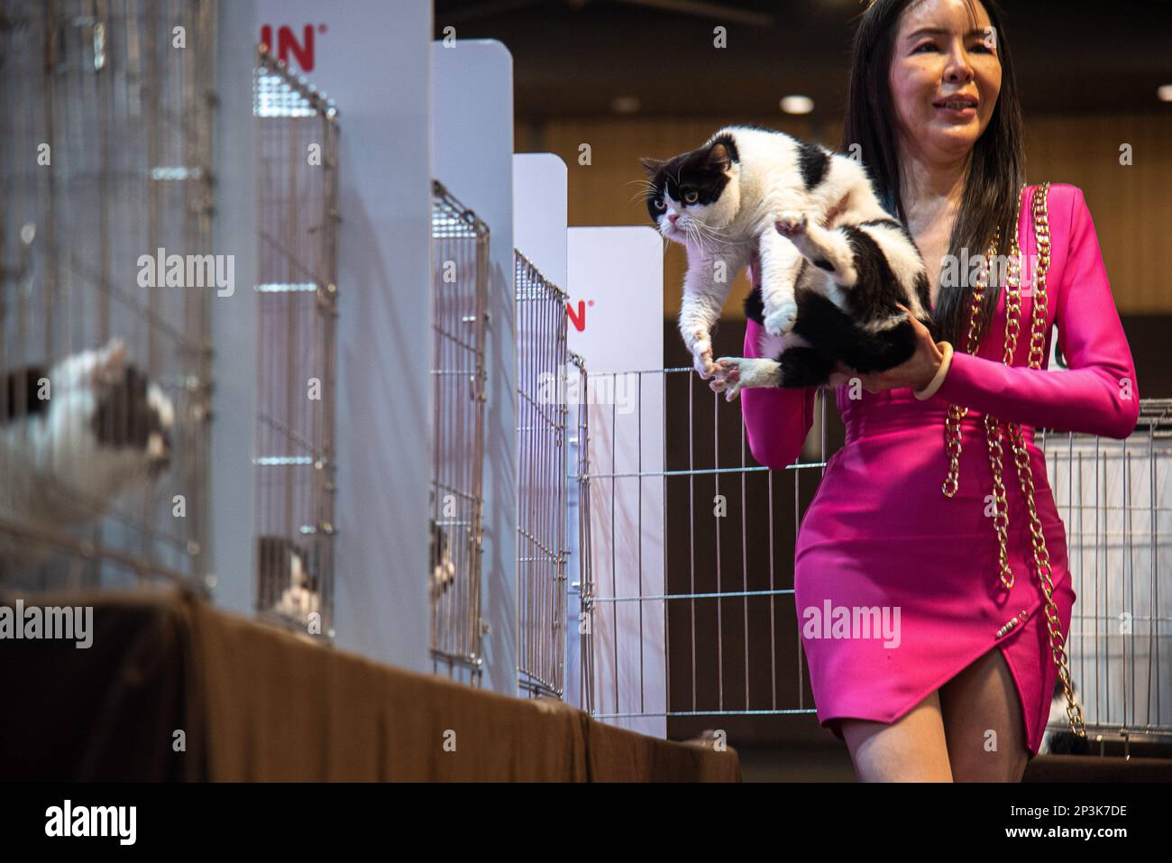 A judge shows off one of the "Cat Who Look Like Cows" competitors ...