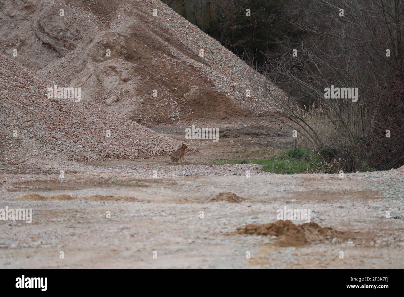 Restricted territory hi-res stock photography and images - Alamy