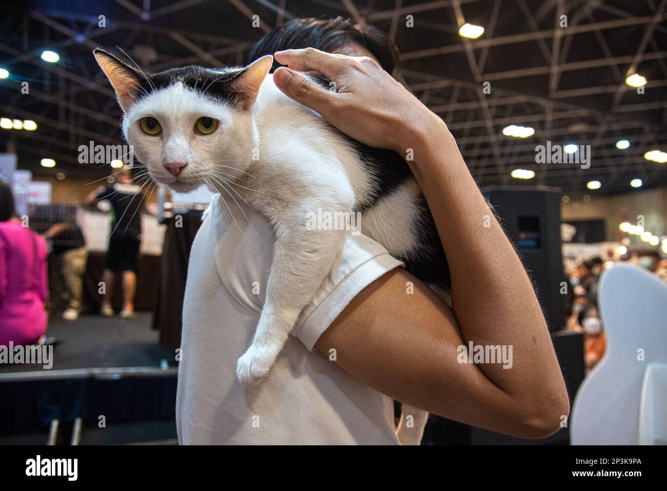 An owner holds his cat during the "Cats Who Look Like Cows" contest at ...