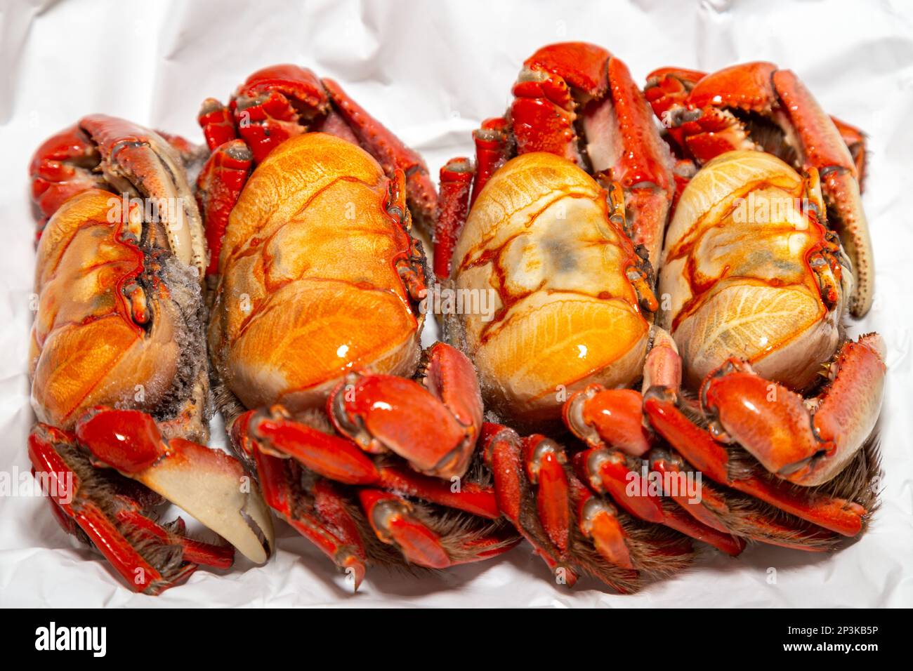 Traditional Brazilian mangrove crabs group in selective focus Stock ...