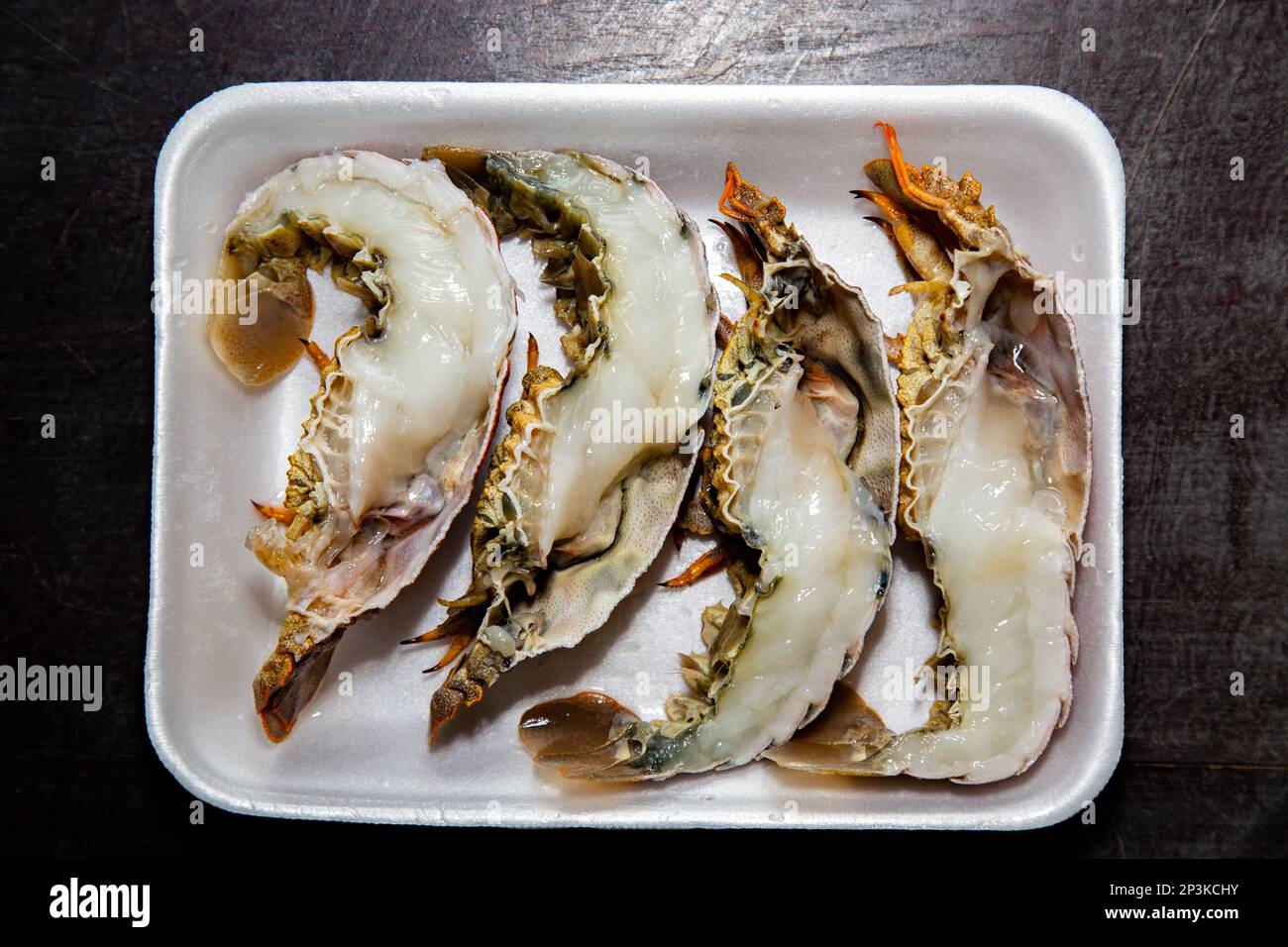 Rare crab lobster (Scyllarides latus) known as cavaquinha or sapateira ...