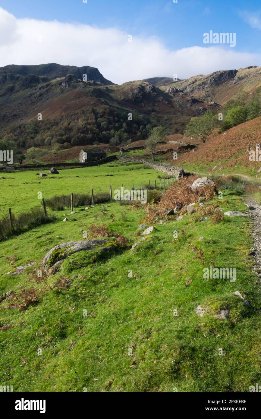 Rough farm terrain hi-res stock photography and images - Alamy