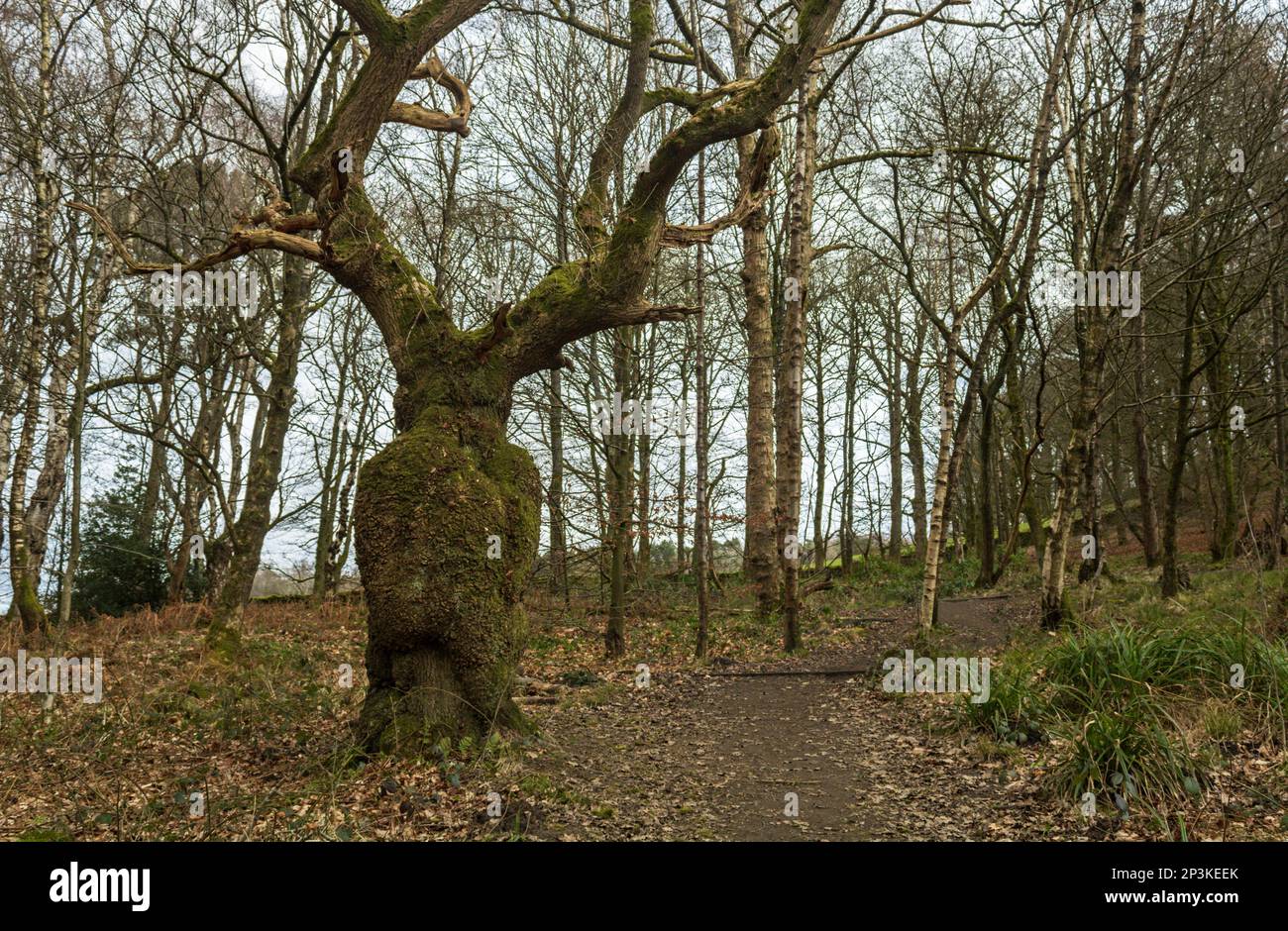 Ribble valley spring hi-res stock photography and images - Alamy