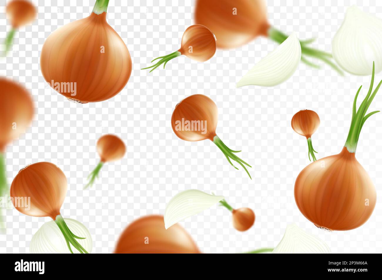 Selective focus on onion Stock Vector Images - Alamy