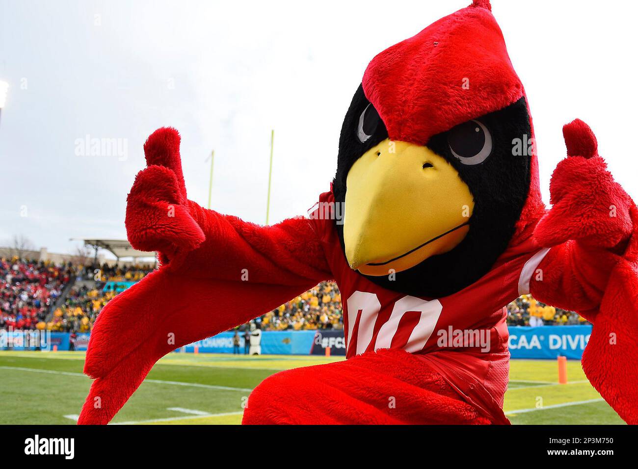 Illinois State mascot Reggie Redbird during NCAA Division I Football ...
