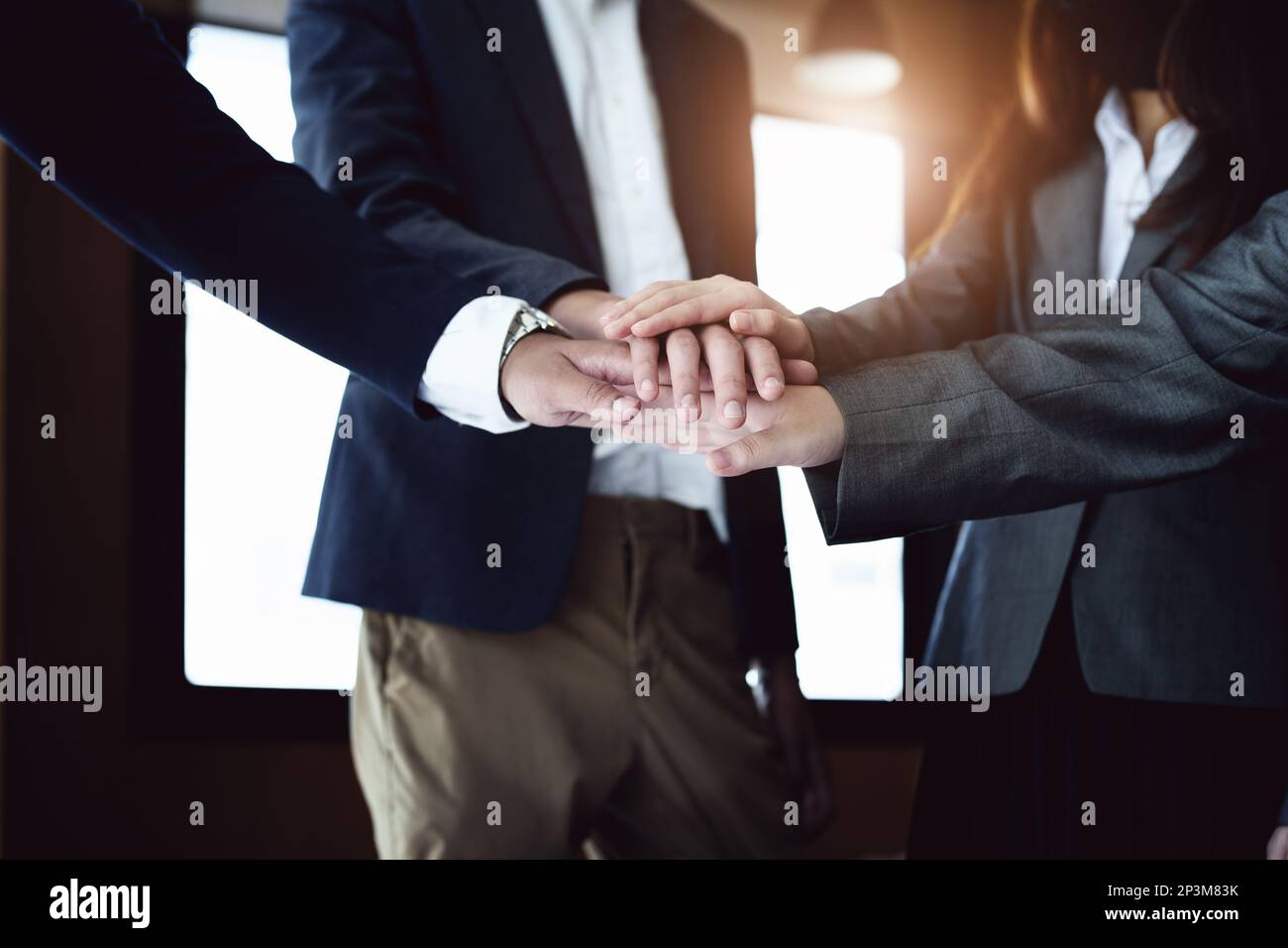 business group people showing unity with their hands together Stock ...