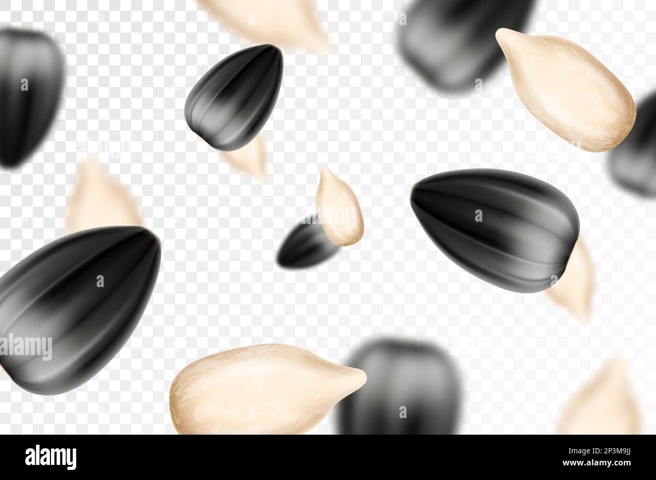 Focus on sunflower Stock Vector Images - Alamy