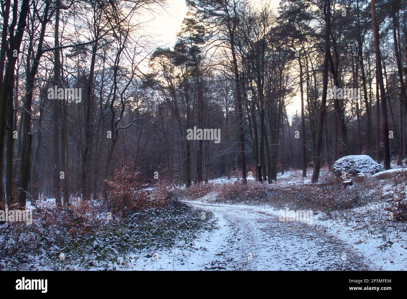 Light dusting of snow on a road on a winter afternoon in the Palatinate ...