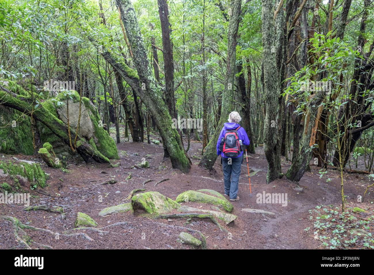 Chapel of peninha hi-res stock photography and images - Alamy