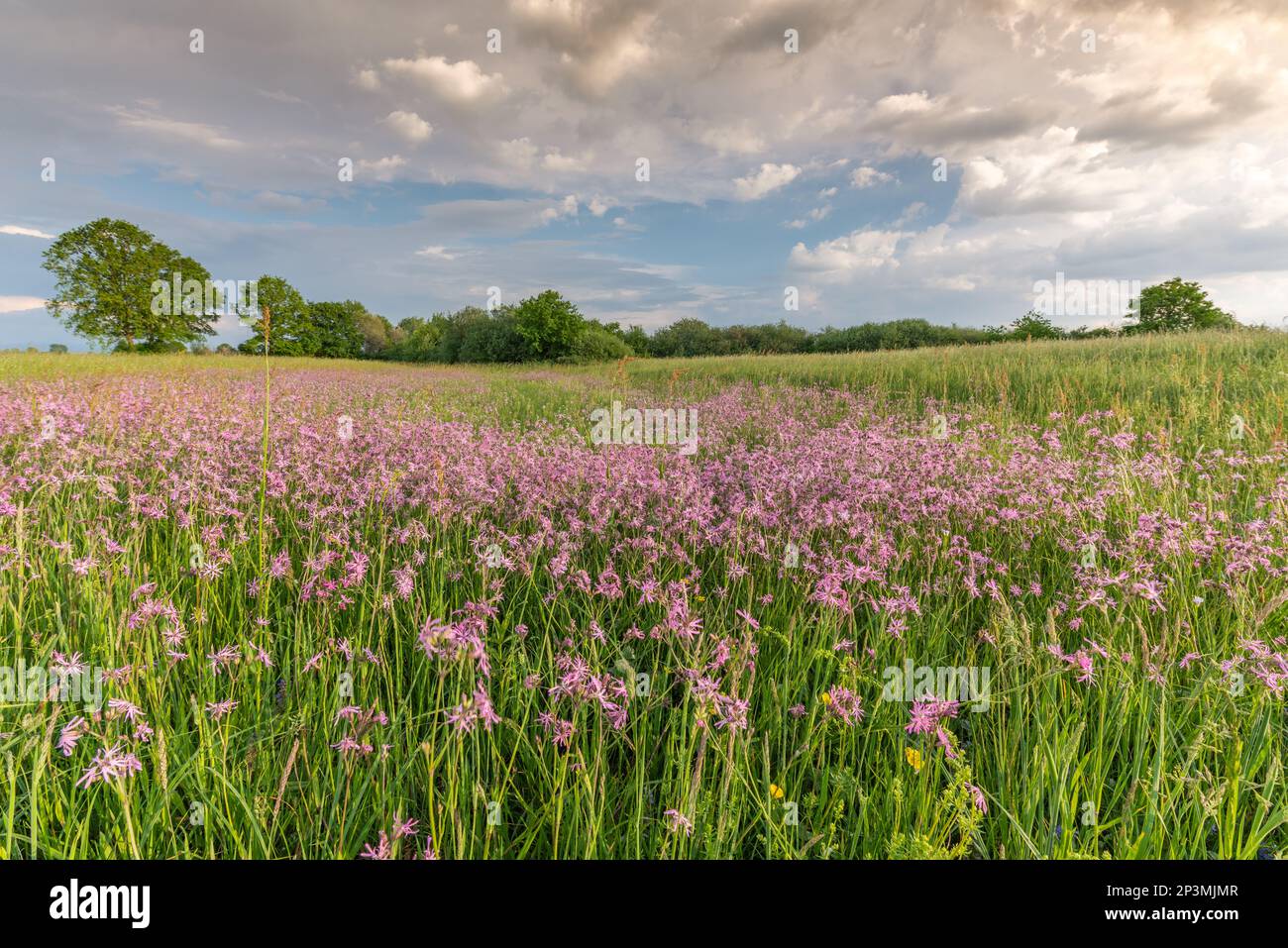 Central european plain hi-res stock photography and images - Alamy