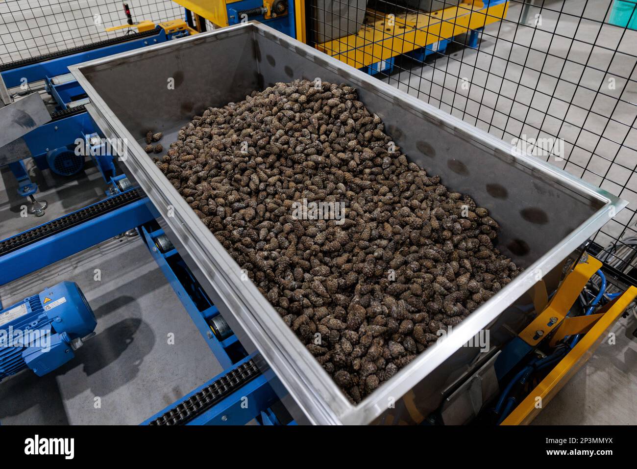 Kaunas, Lithuania - 2023 March 3: BCC’s nursery production system ...