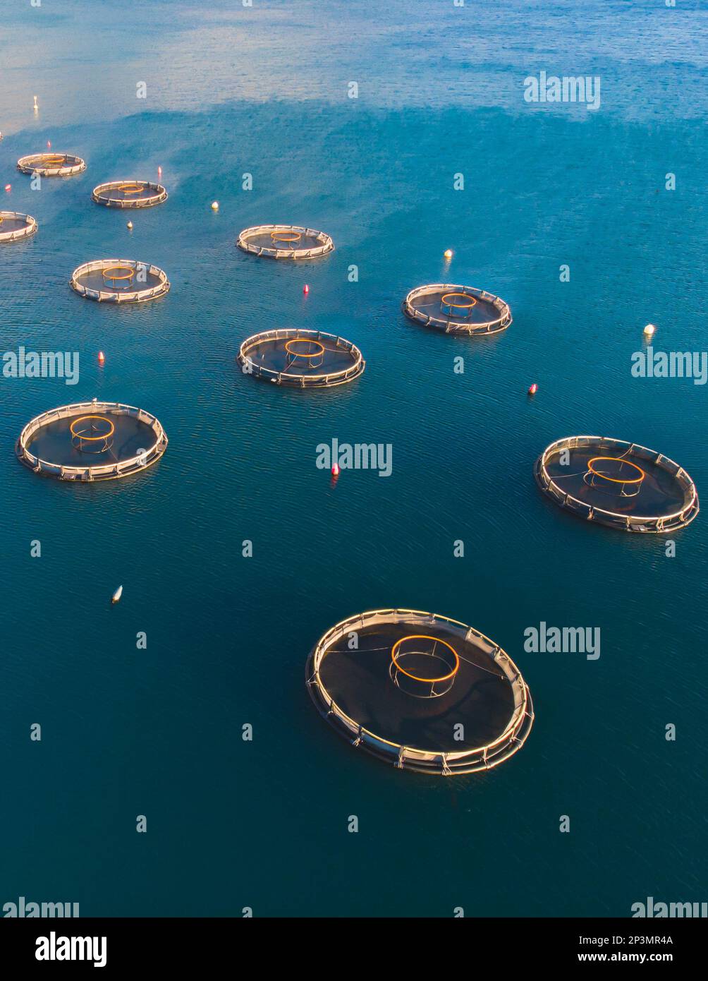 Aerial drone top view of sea fish farm cages and fishing nets, farming ...
