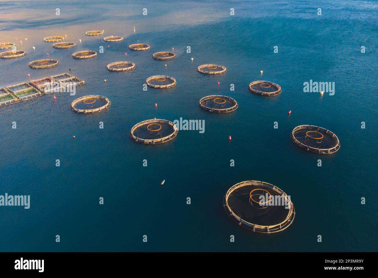 Aerial drone top view of sea fish farm cages and fishing nets, farming ...