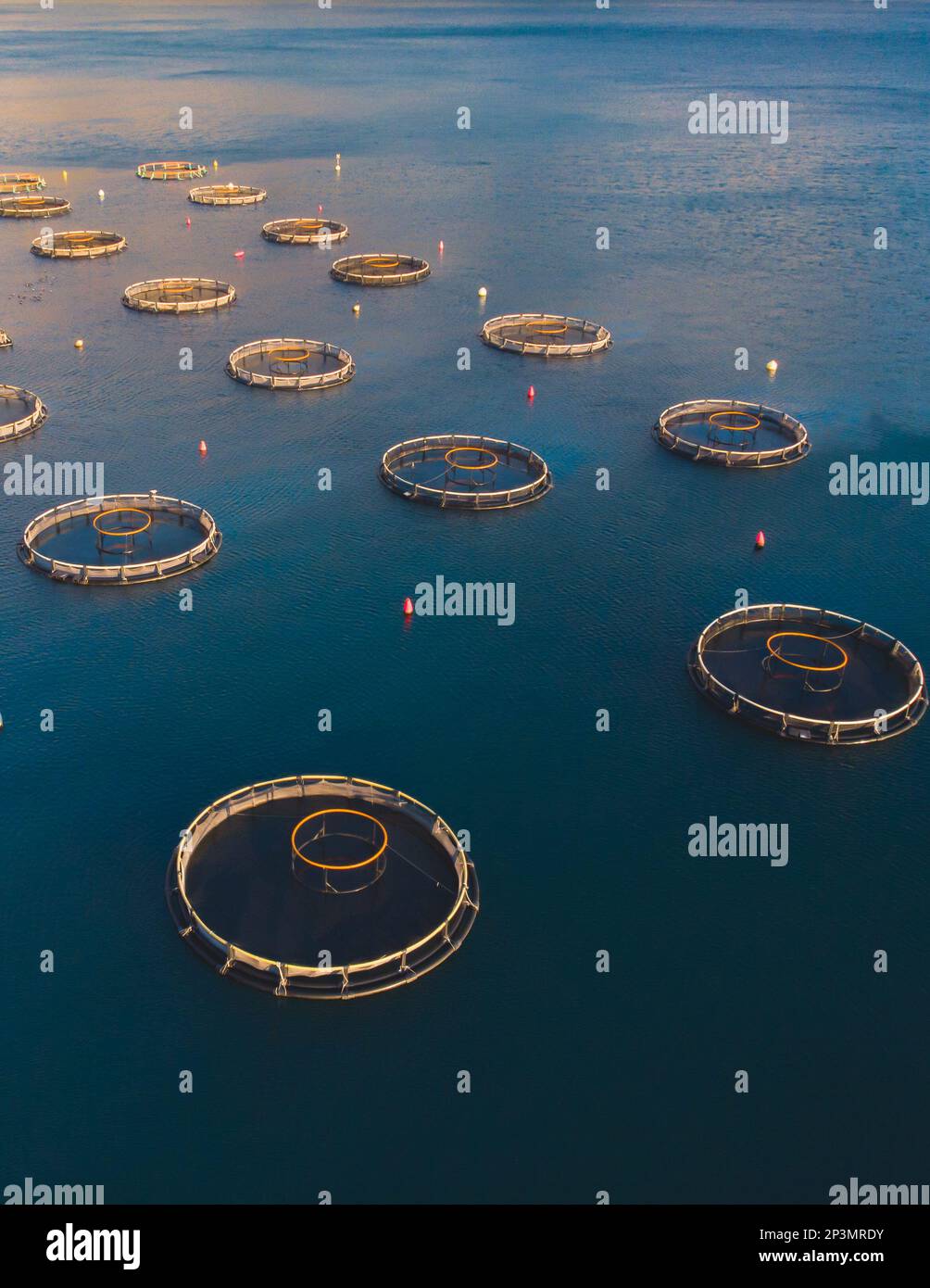 Aerial drone top view of sea fish farm cages and fishing nets, farming ...