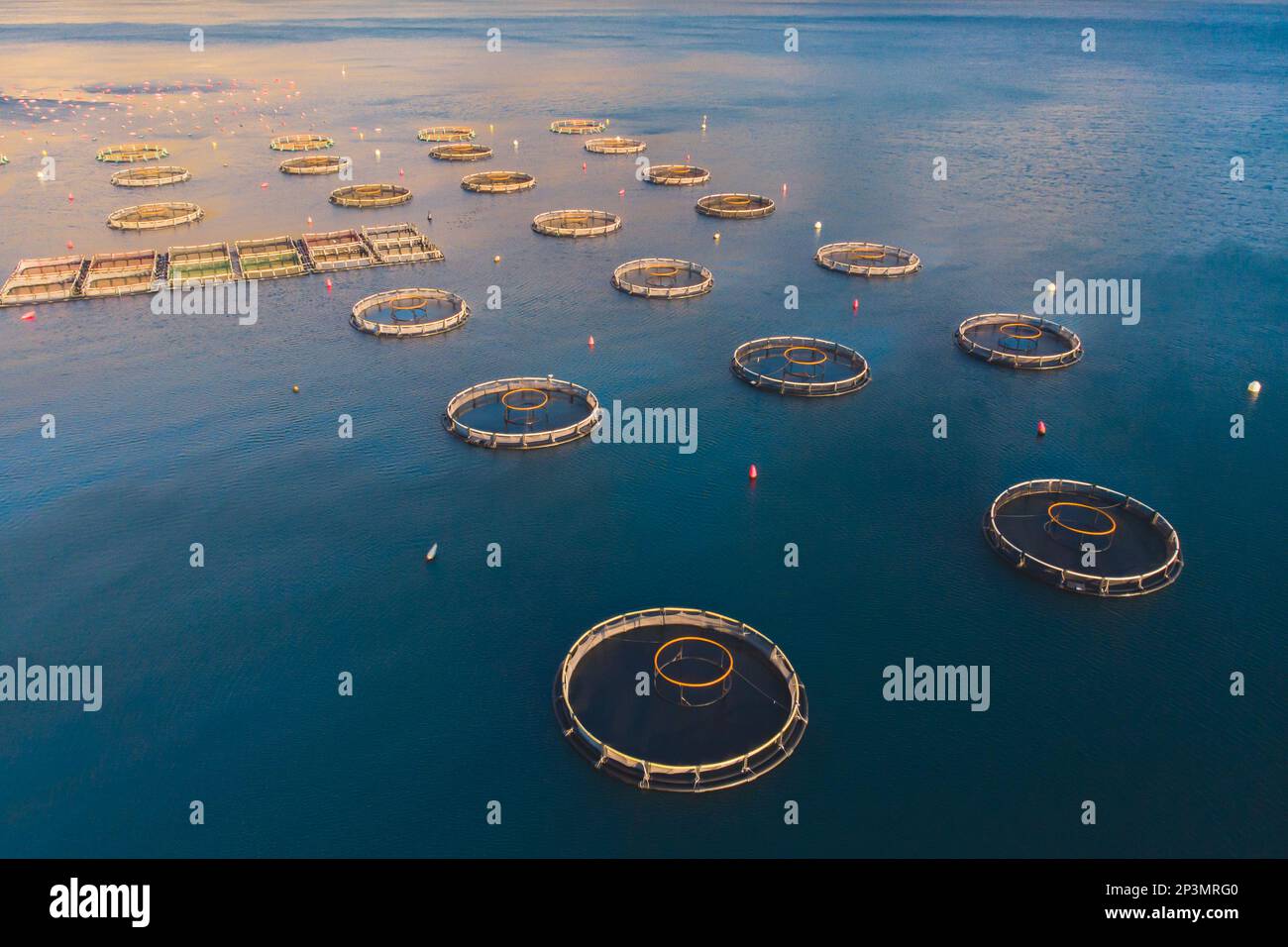 Aerial drone top view of sea fish farm cages and fishing nets, farming ...