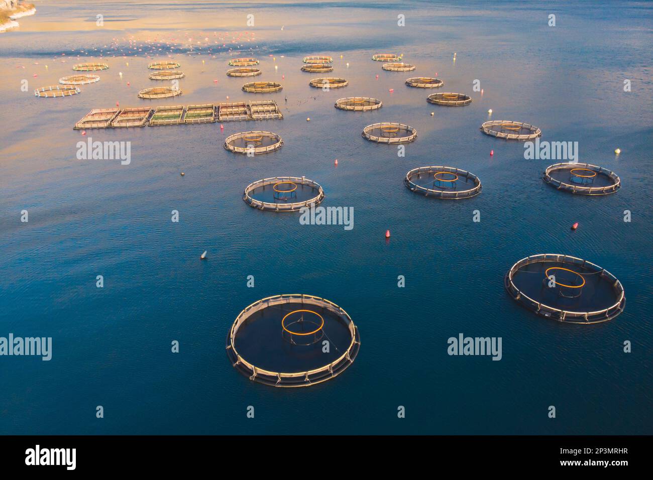 Aerial drone top view of sea fish farm cages and fishing nets, farming ...