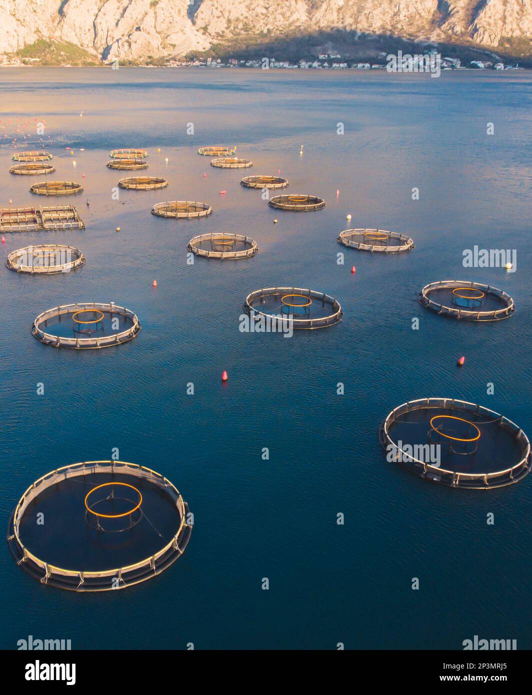 Aerial drone top view of sea fish farm cages and fishing nets, farming ...