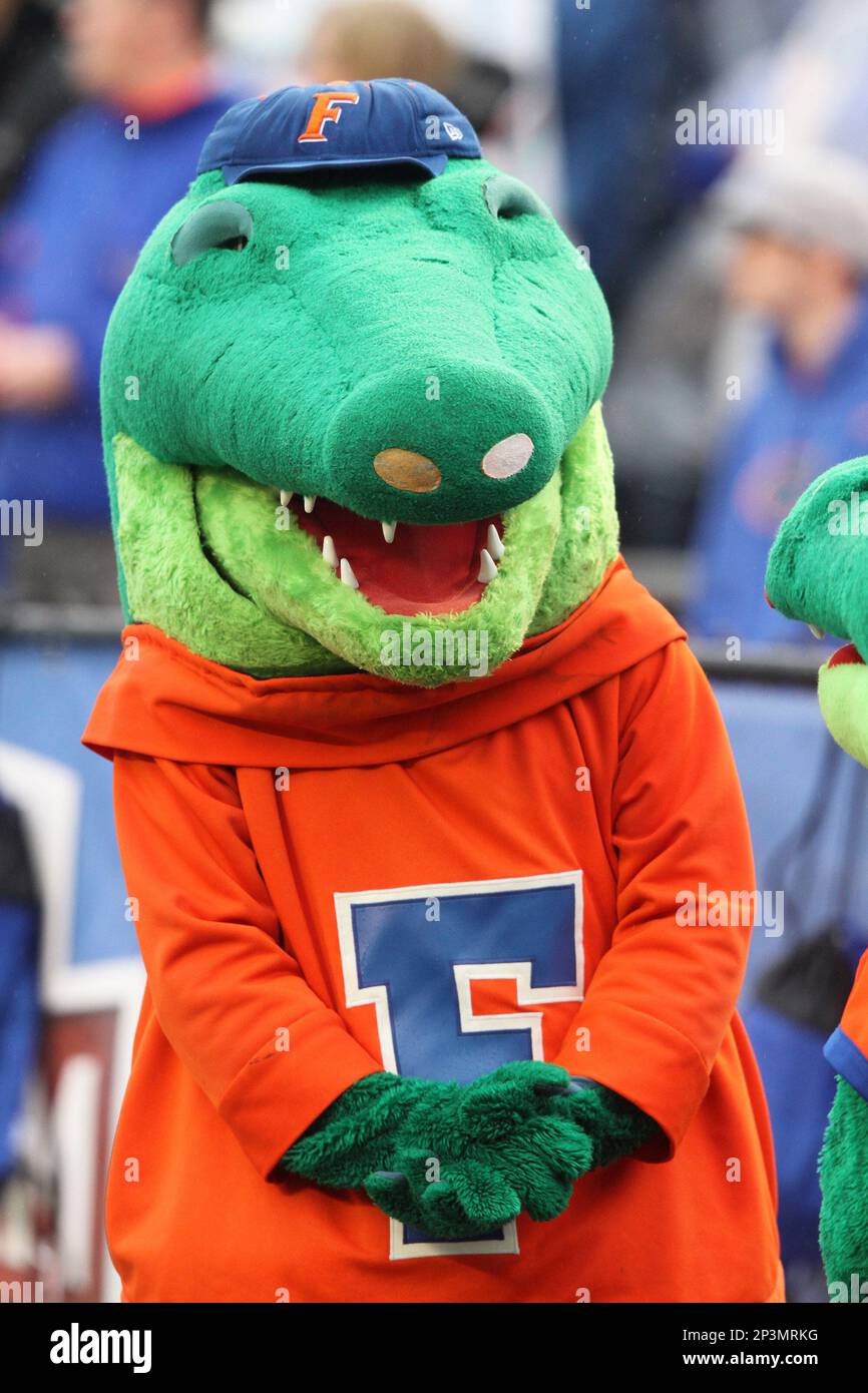 January 3, 2015: Florida Gators mascot during the Birmingham Bowl at ...