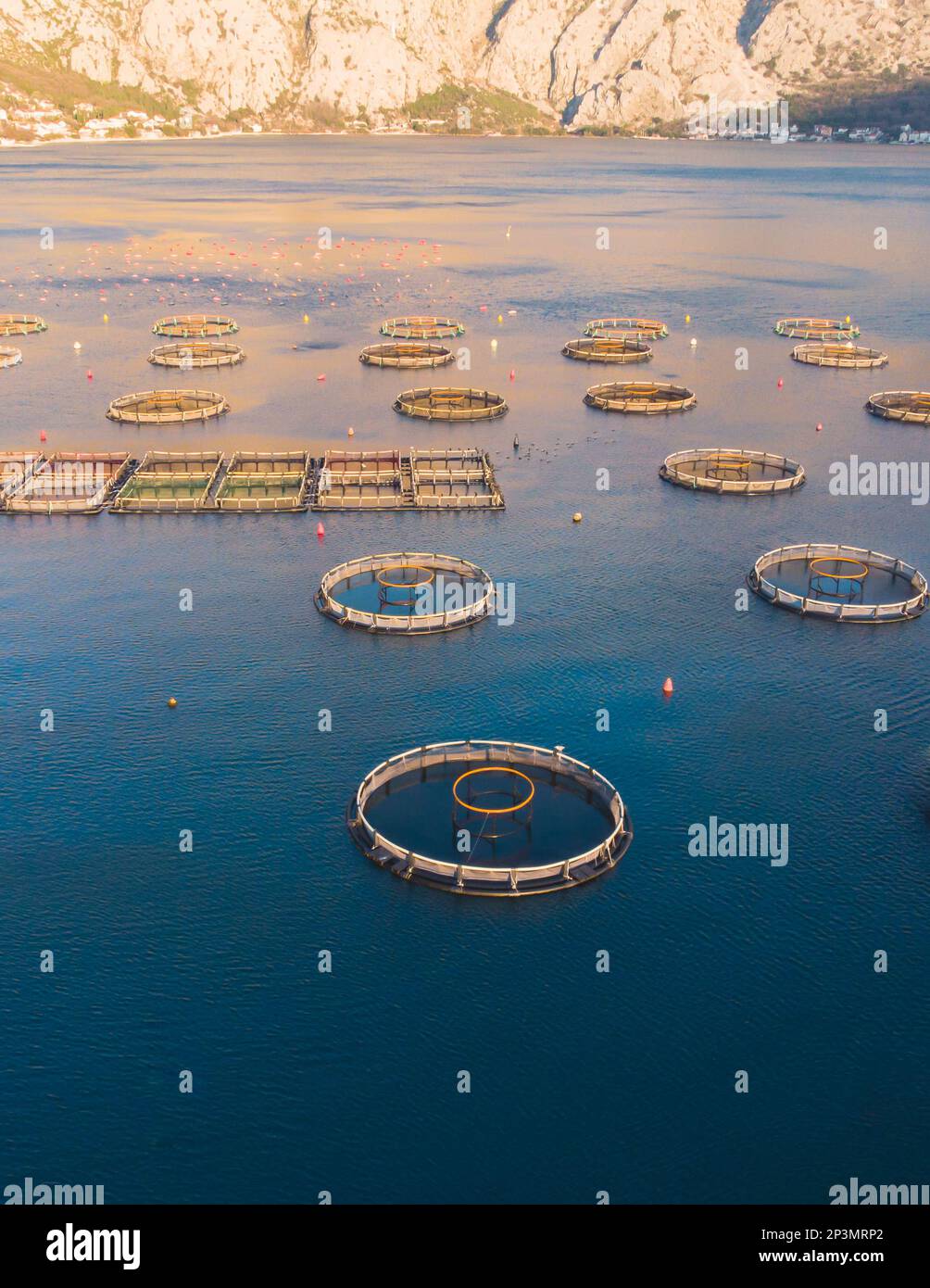 Aerial drone top view of sea fish farm cages and fishing nets, farming ...