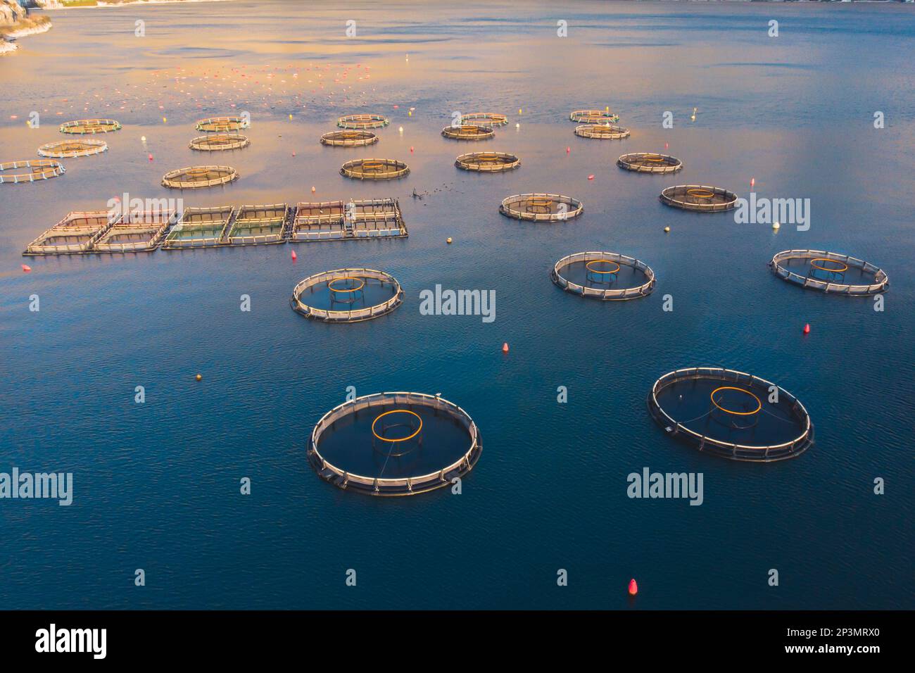 Aerial drone top view of sea fish farm cages and fishing nets, farming ...