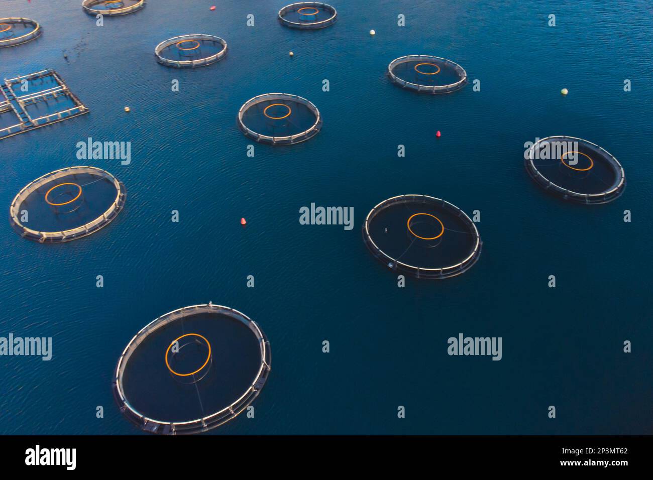 Aerial drone top view of sea fish farm cages and fishing nets, farming ...