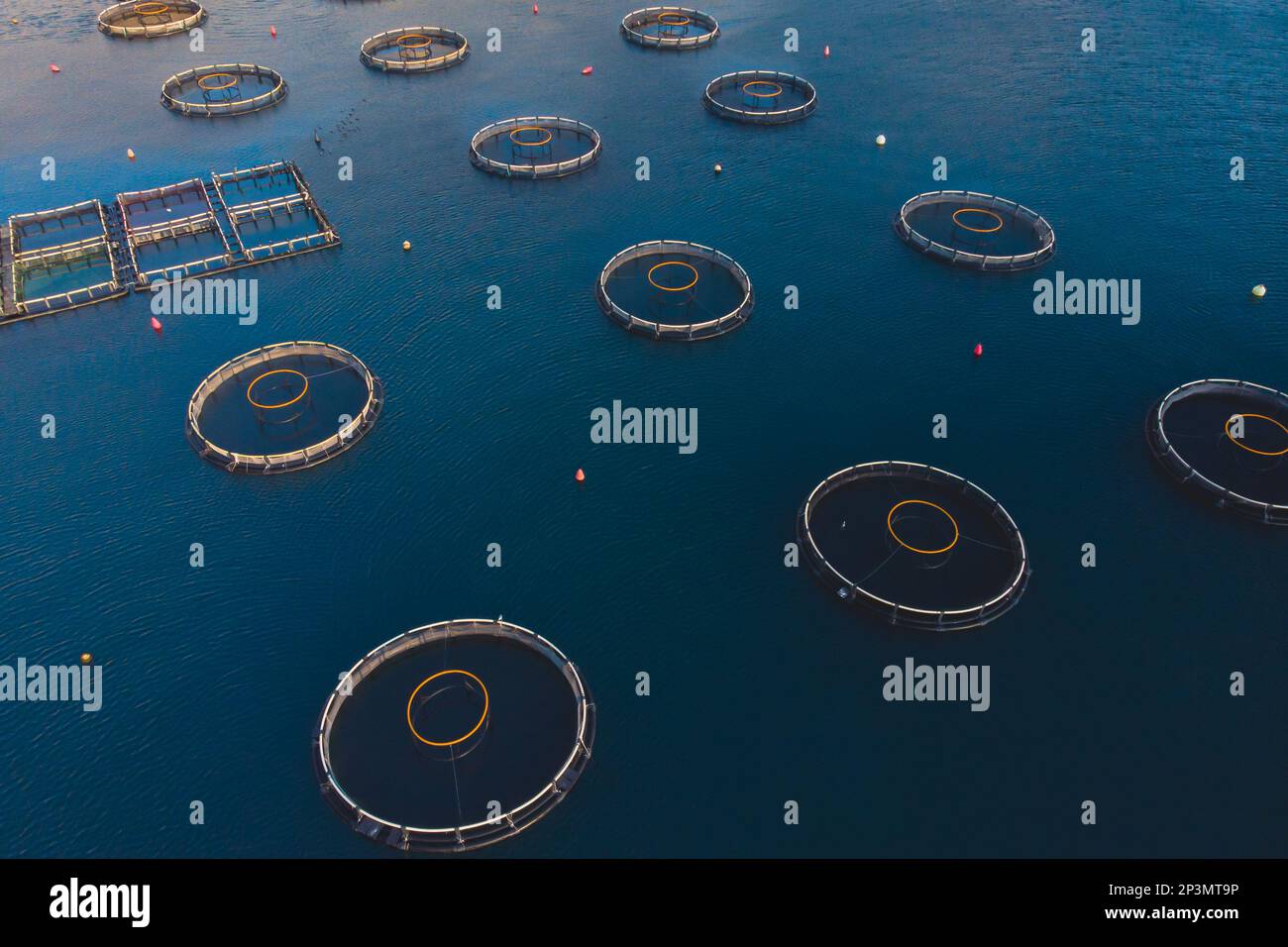 Aerial drone top view of sea fish farm cages and fishing nets, farming ...