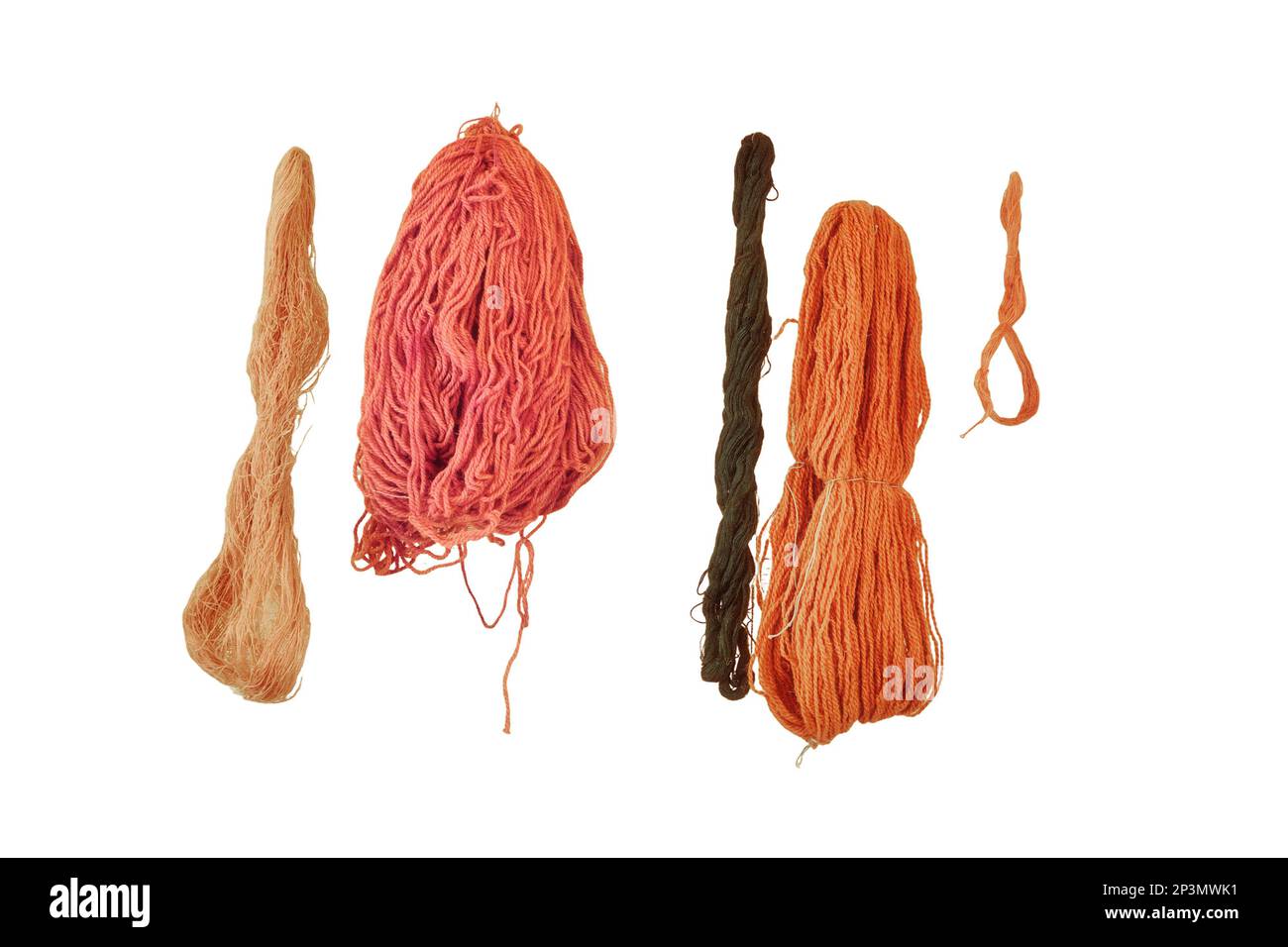 The yarn is dried on a rope, isolated on a white background. Skeins of ...