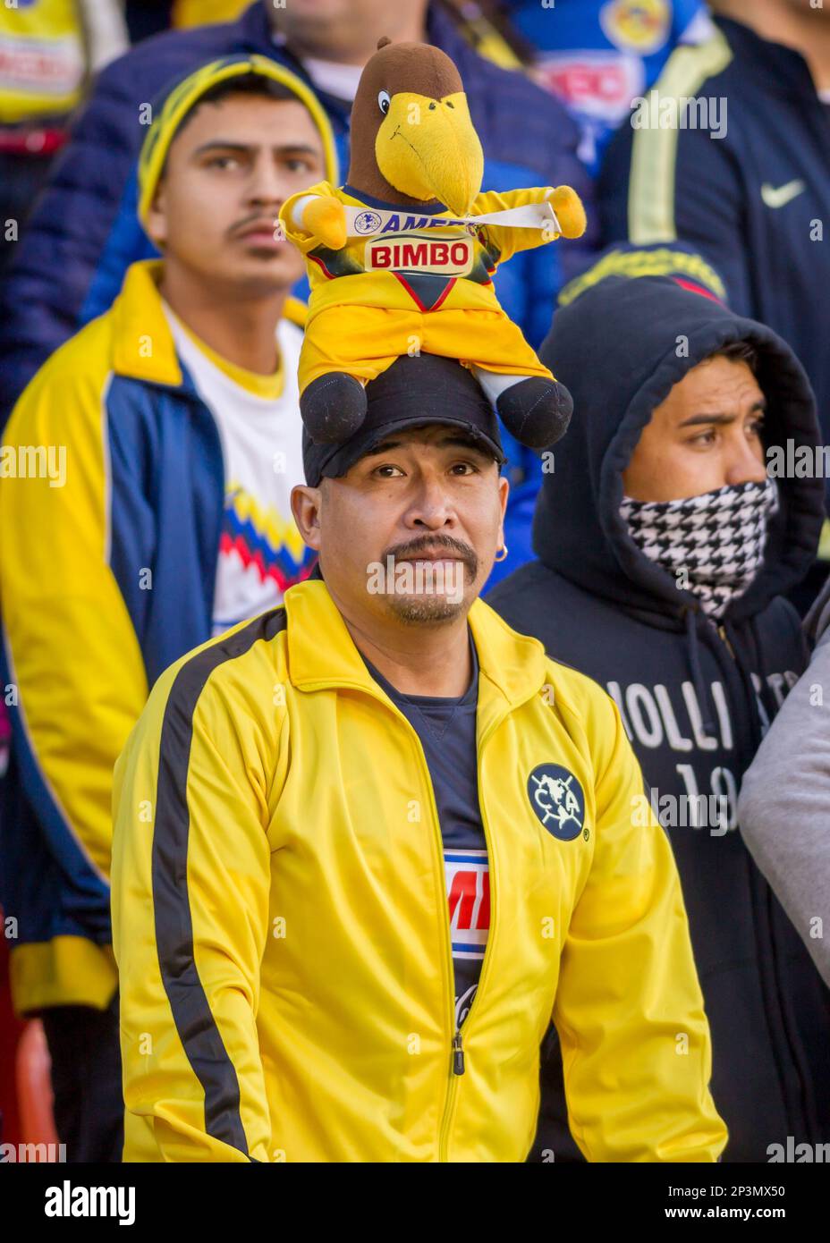 January 3, 2015: Club América fan during the International Friendly ...