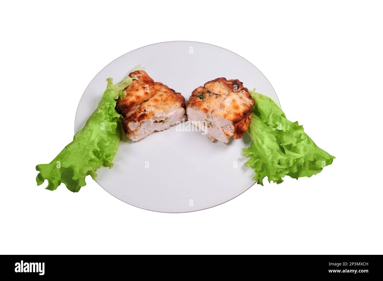 Meat cutlet isolated on a white background. Cutlet of bird meat. Plate ...