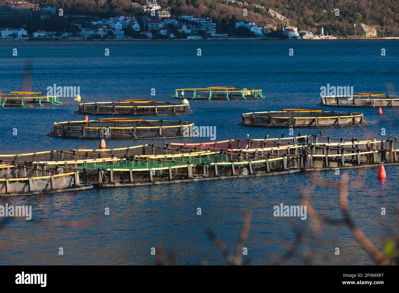 View of sea fish farm cages and fishing nets, farming dorado, sea bream ...