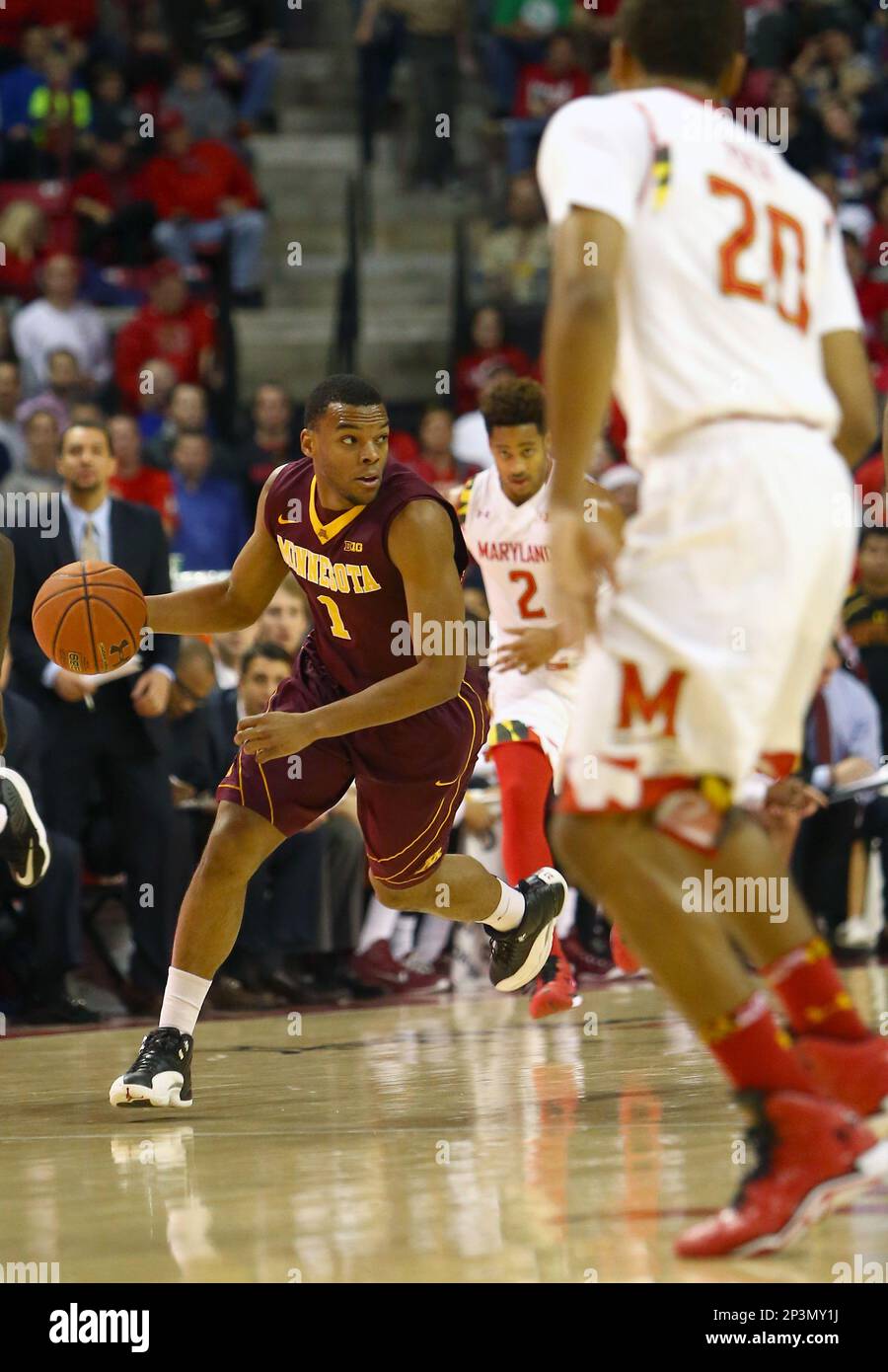 January 03 2014: Minnesota Golden Gophers guard Andre Hollins (1 ...