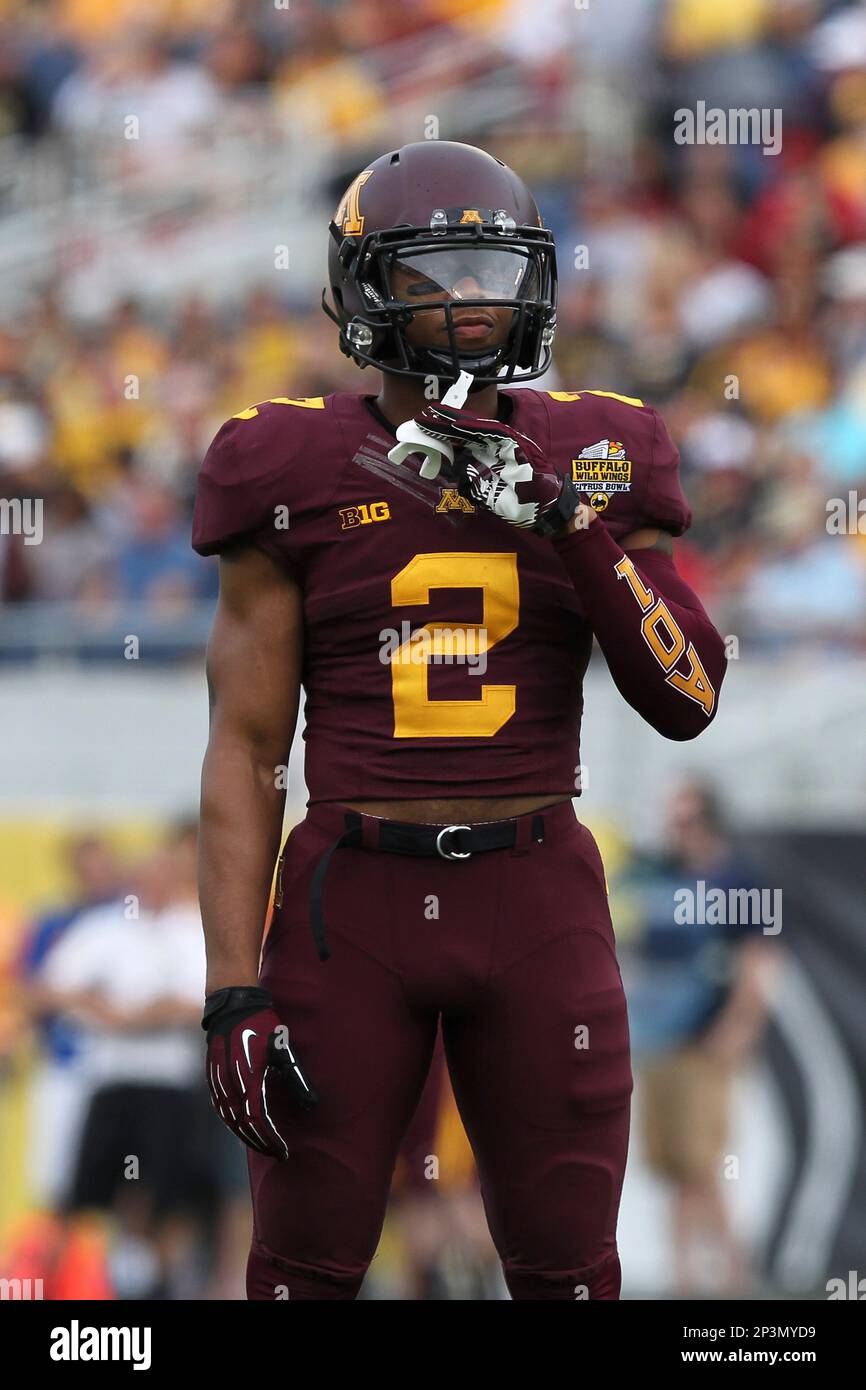 01 January 2015: Minnesota Golden Gophers defensive back Cedric Thompson (2) during the Buffalo ...