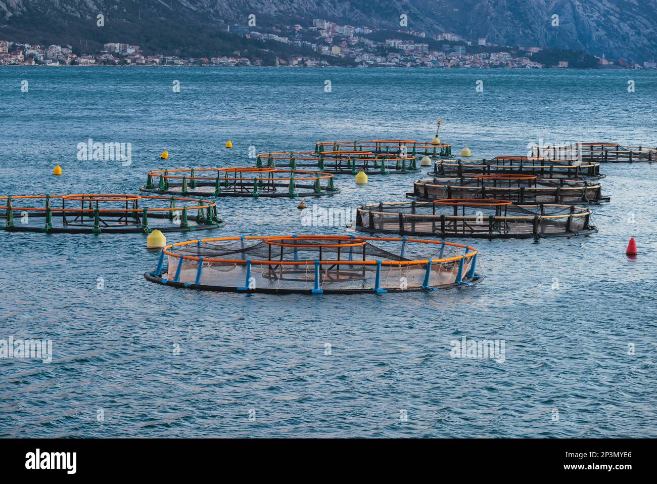 View of sea fish farm cages and fishing nets, farming dorado, sea bream ...