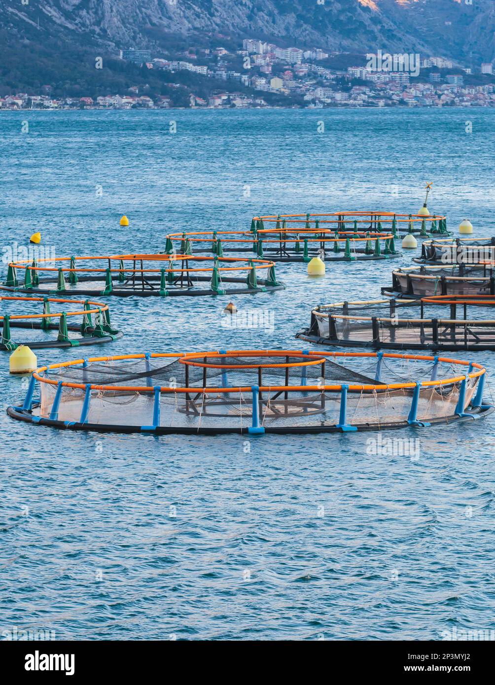 View of sea fish farm cages and fishing nets, farming dorado, sea bream ...