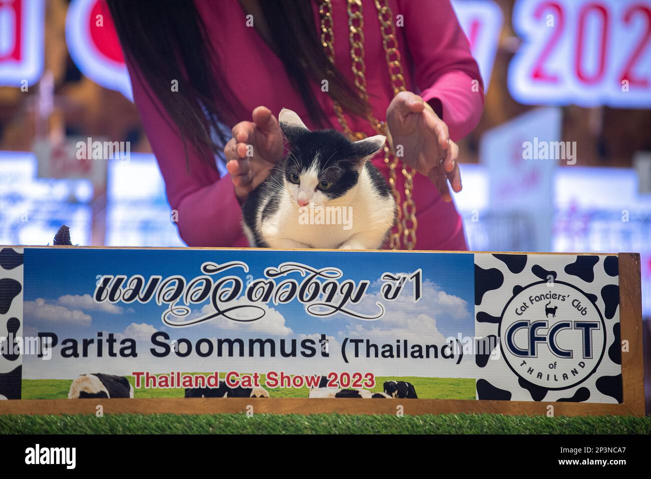 Bangkok, Thailand. 05th Mar, 2023. A judge shows off one of the "Cat ...