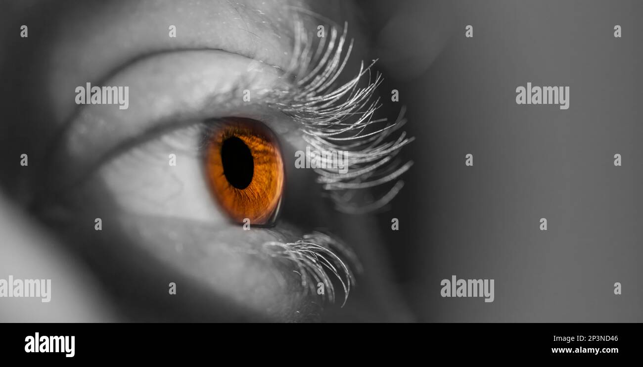 Detail of a human brown amber eye, visible iris, woman, colours, flash ...