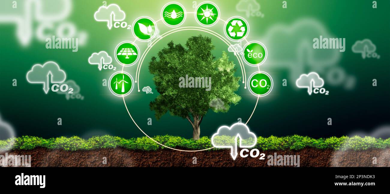 Tree as Zero emissions and carbon neutral concept. Renewable energy by ...