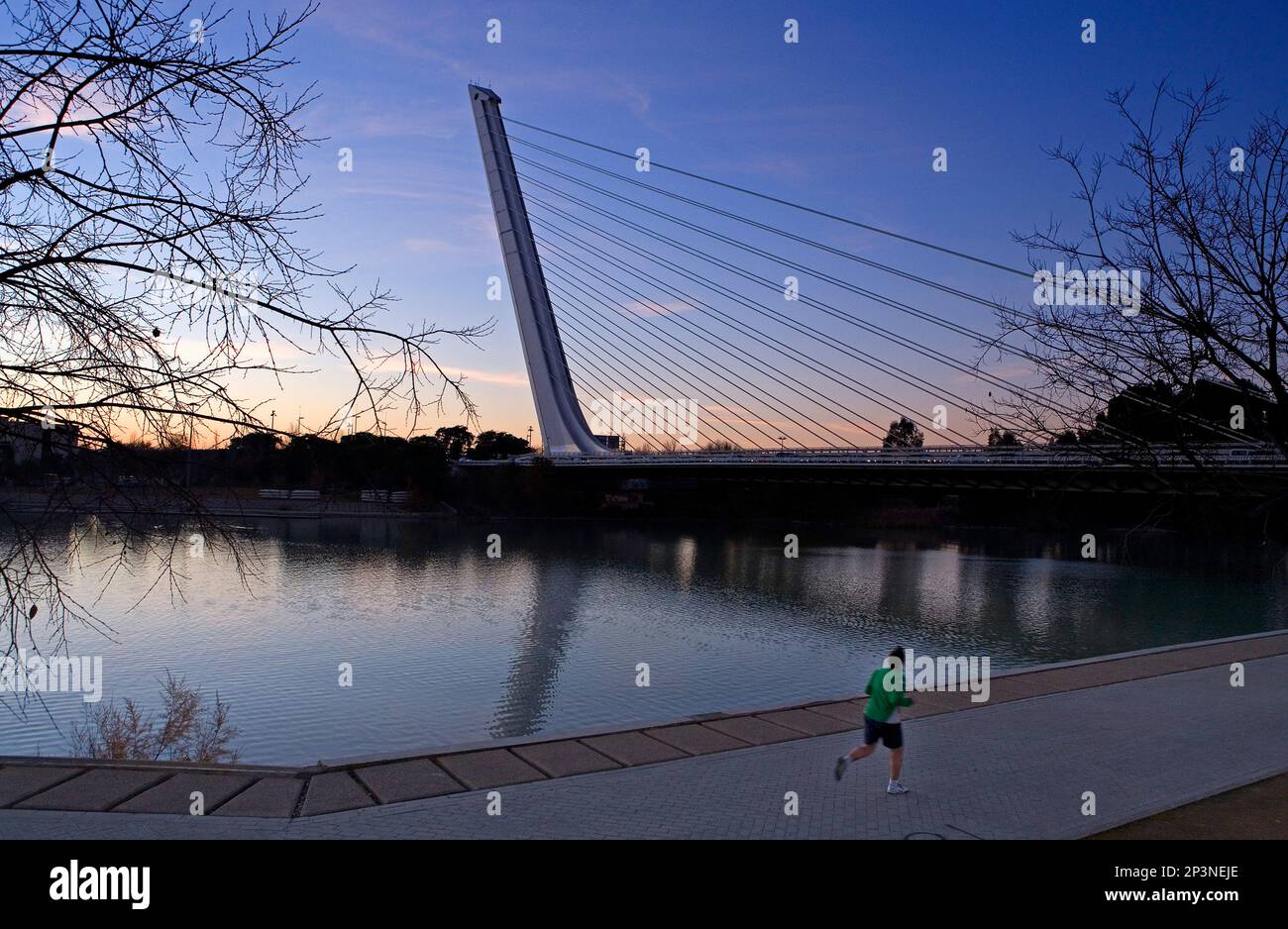 Bridge of the Alamillo in the river Guadalquivir. Seville, Andalusia ...