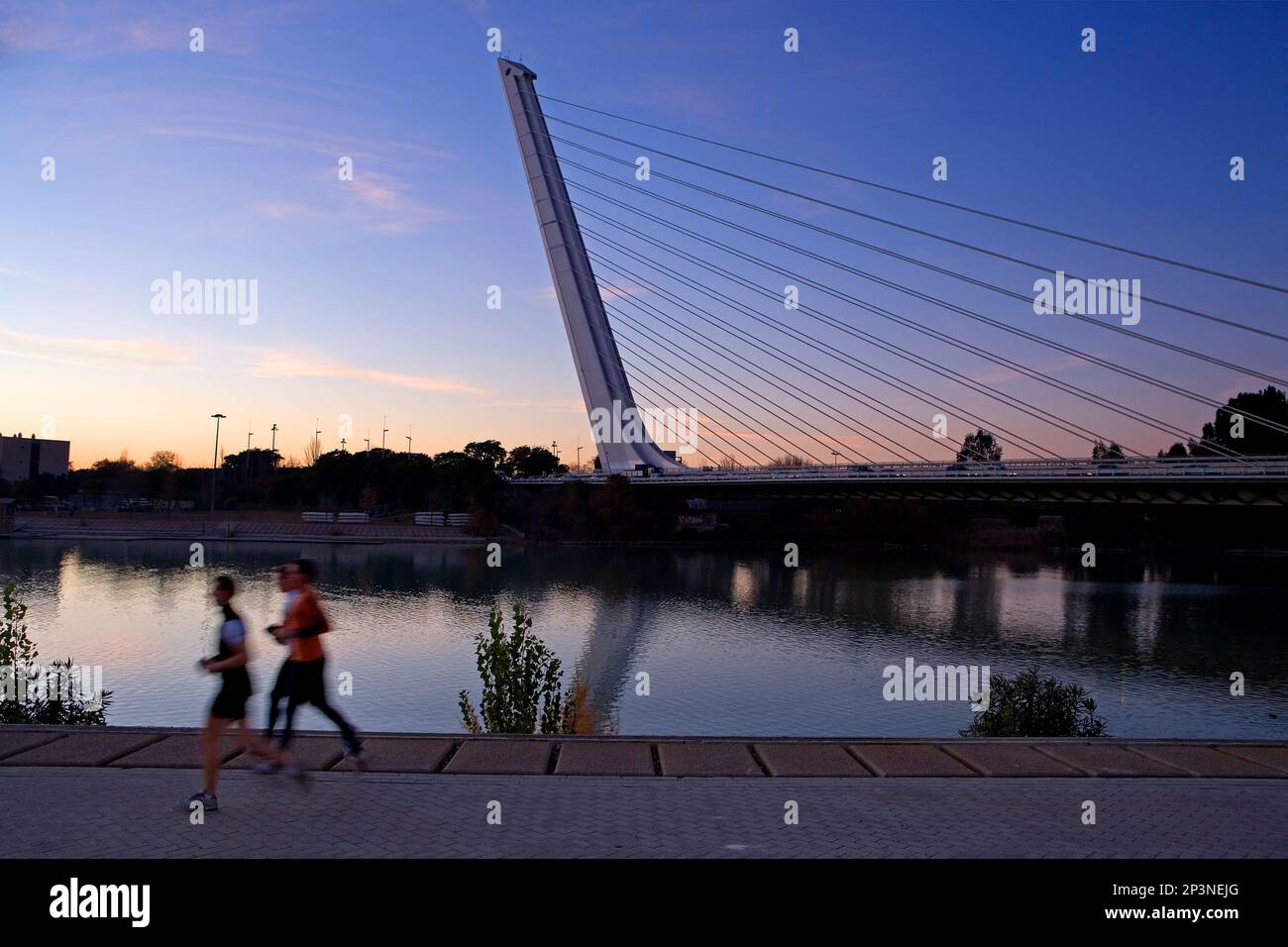 Bridge of the Alamillo in the river Guadalquivir. Seville, Andalusia ...