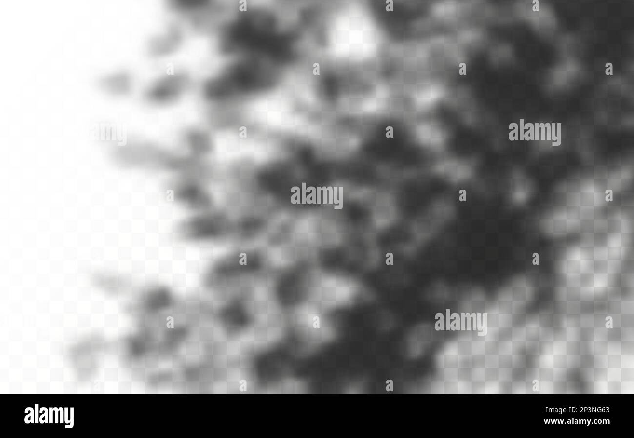 The effect of overlaying shadows.Realistic shadow tropical leaves and ...