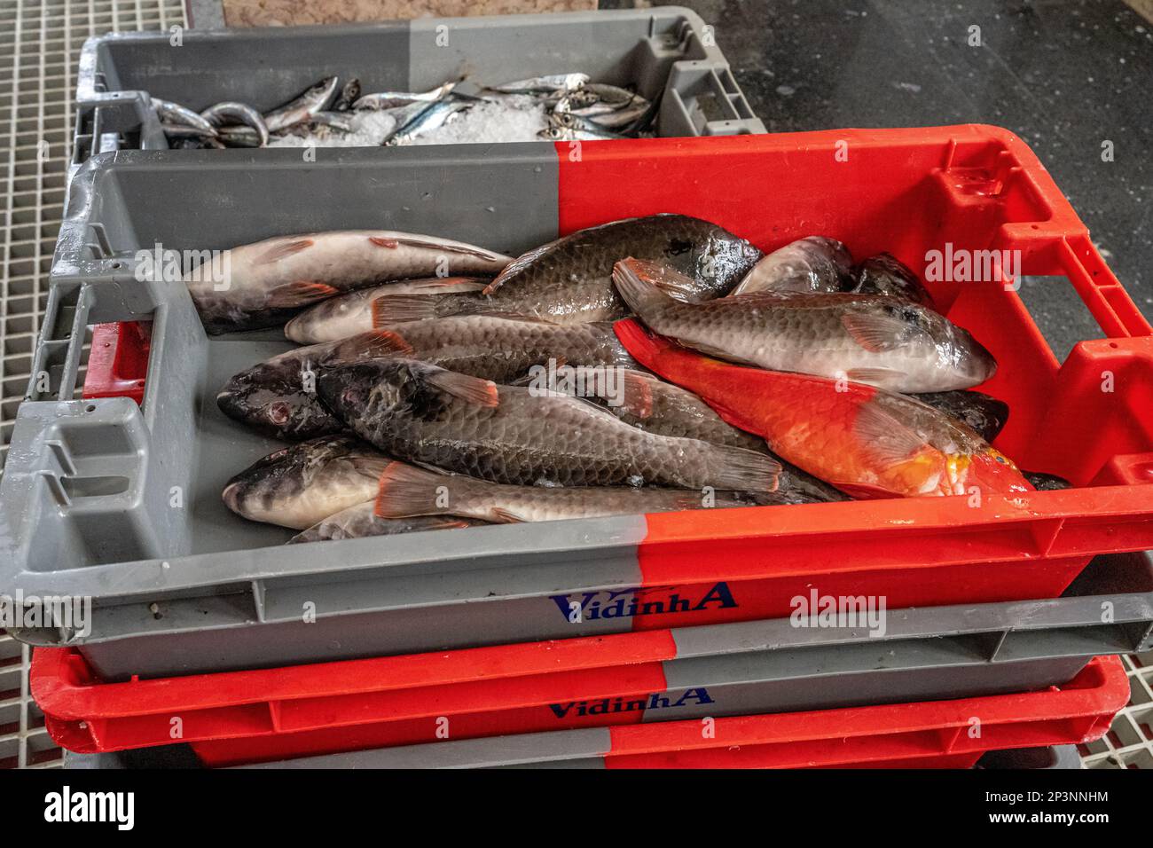 Local fish being prepared in the fish market, Funchal, Madeira Stock ...