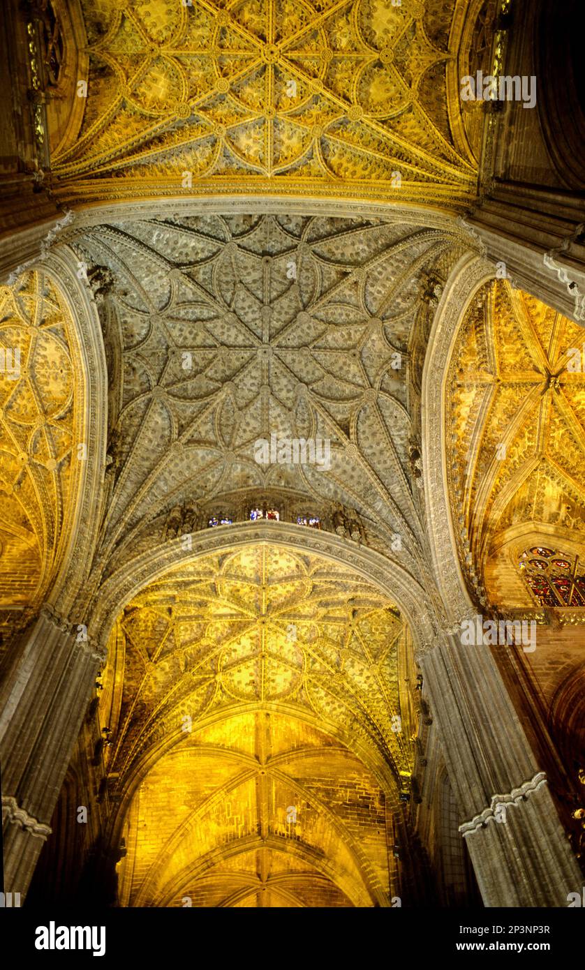 Vaults of the cathedral of seville hi-res stock photography and images ...