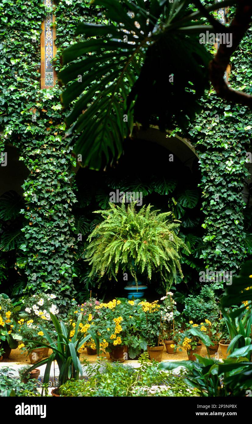 Typical courtyard in Agua Street.Santa Cruz quarter. Seville, Andalusia ...