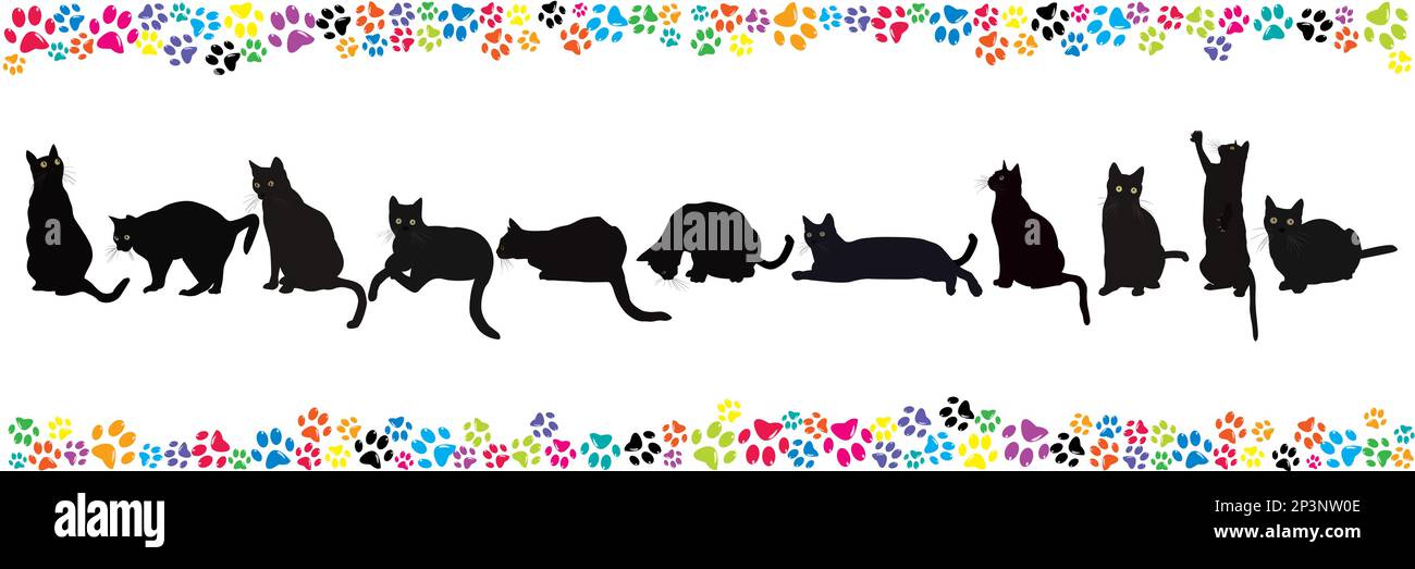 Cute black white cats Cut Out Stock Images & Pictures - Alamy