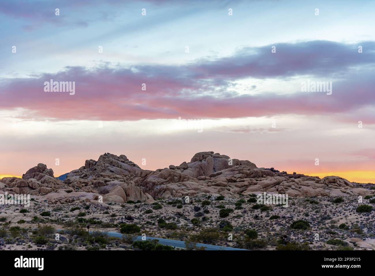Scenery in beautiful Joshua Tree National Park with pink, orange sky ...